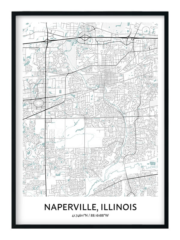 Naperville Map Poster - Your City Map Art - Positive Prints