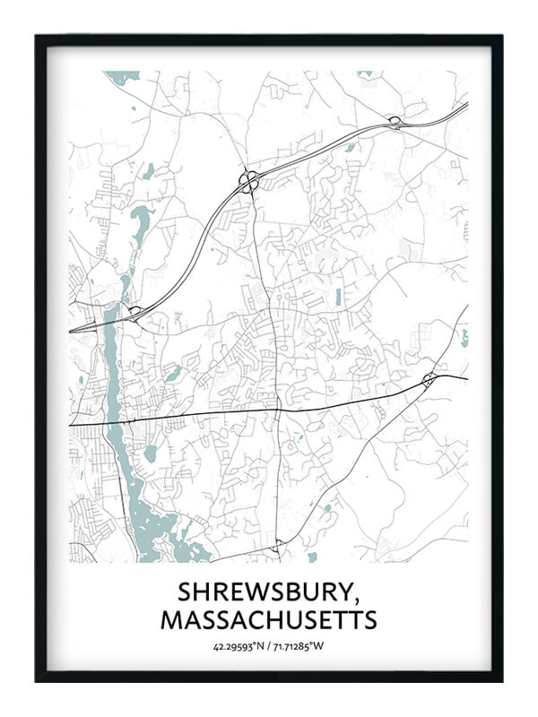 Shrewsbury Map Poster - Your City Map Art - Positive Prints