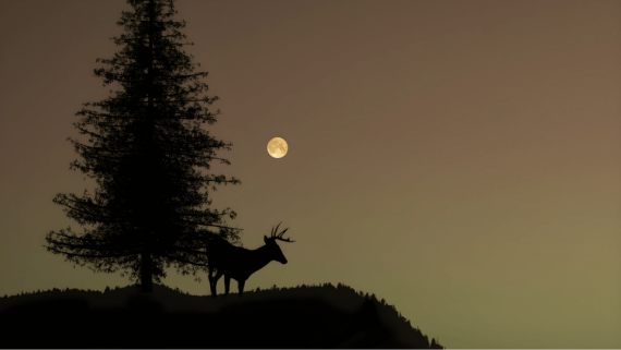 Meaning Behind Names of Full Moons | Positive Prints