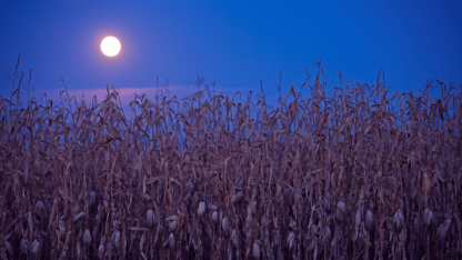 Meaning Behind Names of Full Moons | Positive Prints