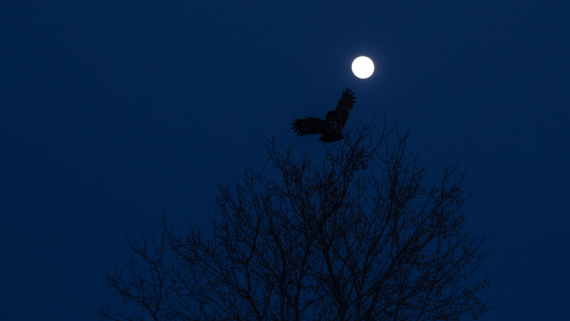 Meaning Behind Names of Full Moons | Positive Prints