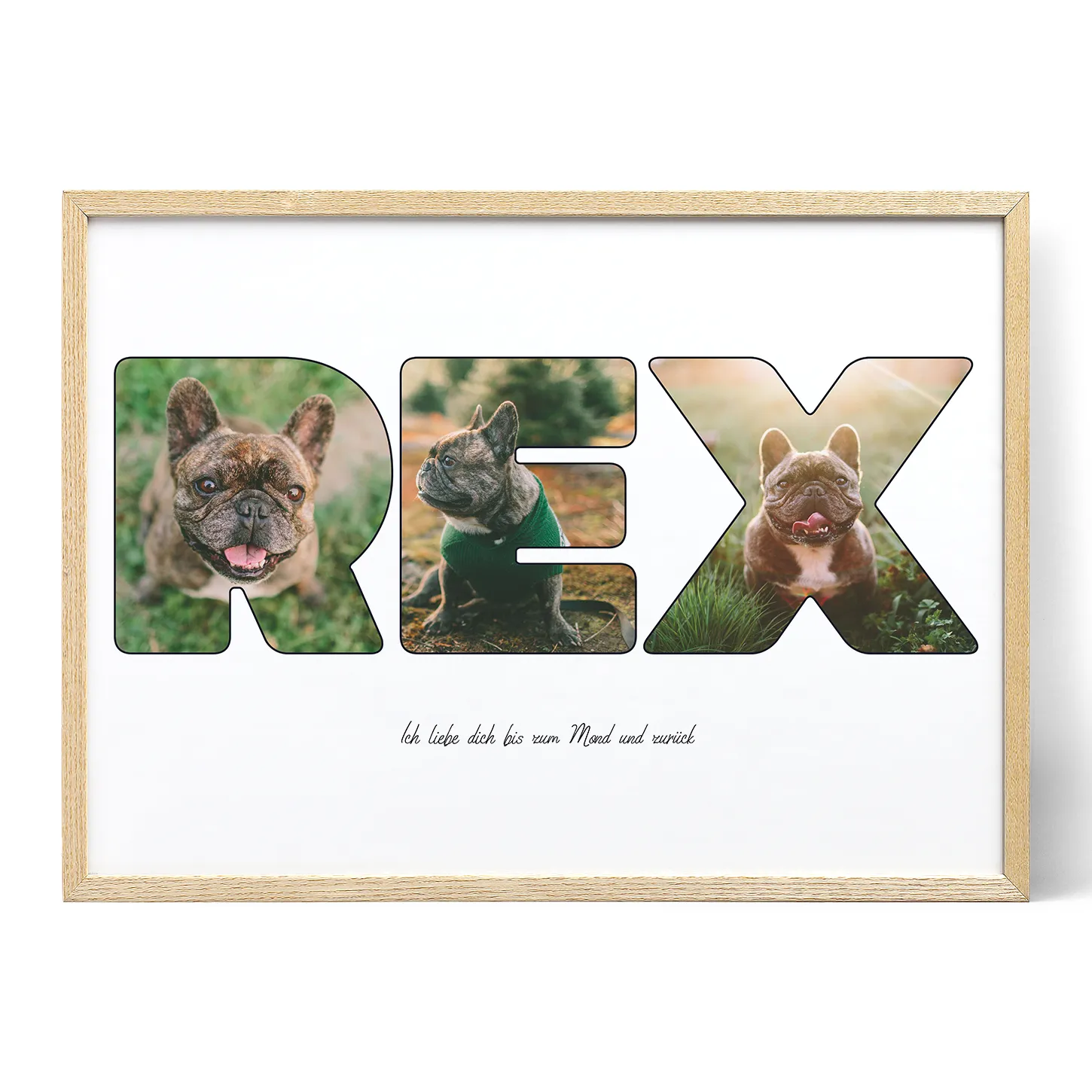 Hunde-Fotocollage in Buchstaben-Form - Positive Prints
