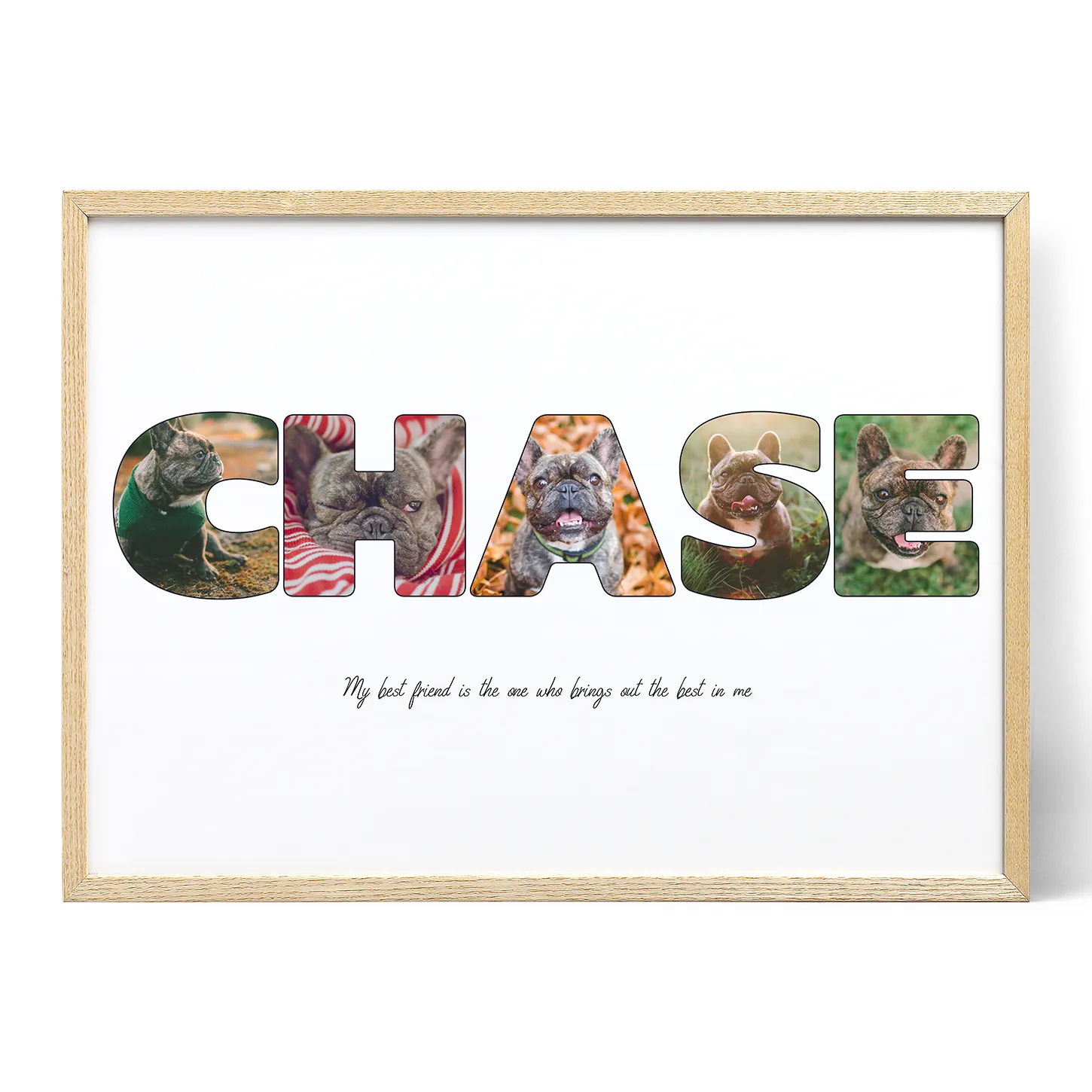 Dog Letter Photo Collage - Positive Prints
