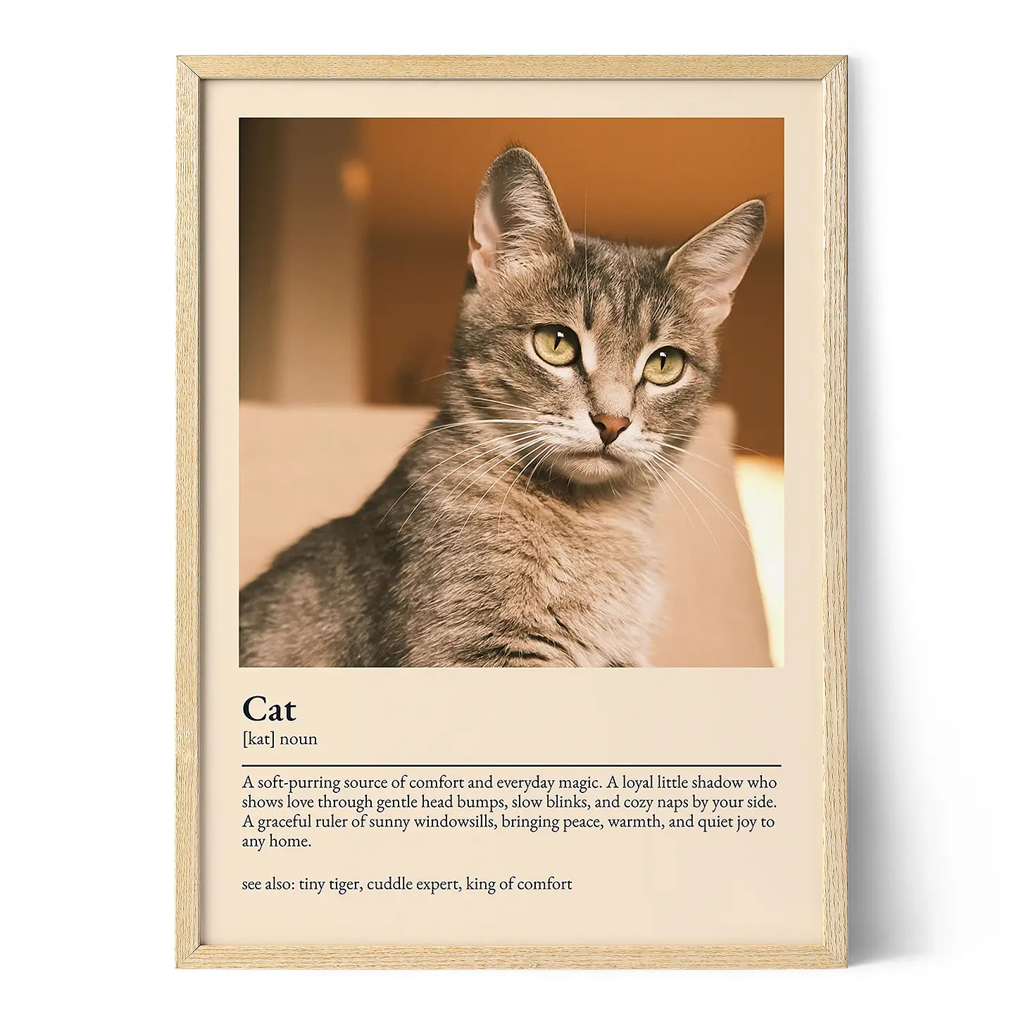 Cat Definition Poster - Positive Prints