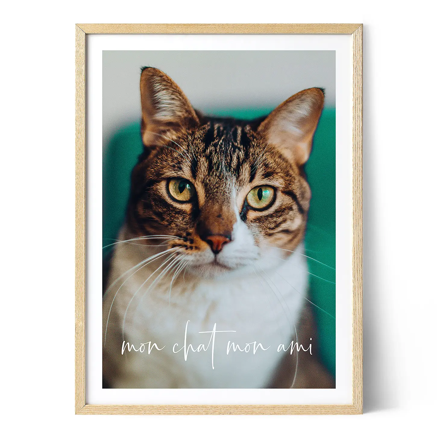 Collage photo de chat - Positive Prints